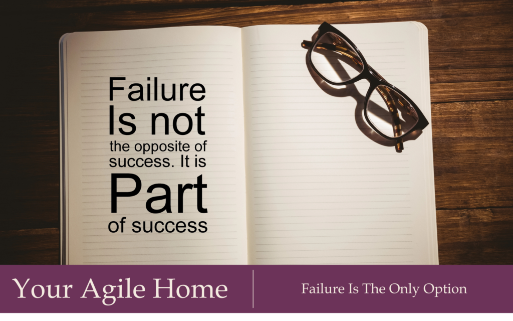 Failure Is The Only Option - Yvonne Marcus